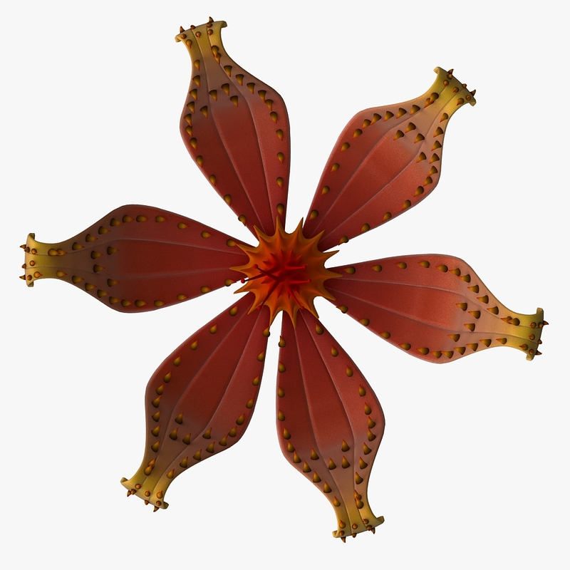 3ds max flower monster