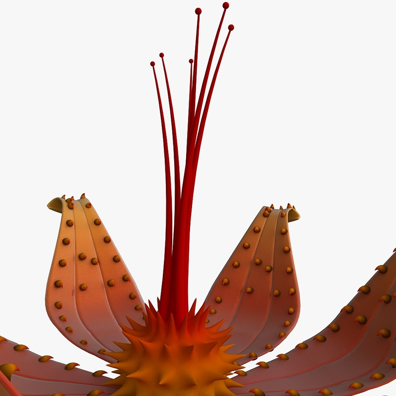 3ds max flower monster