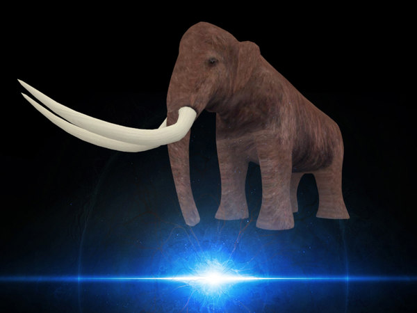 Mammoth 3D Models for Download | TurboSquid