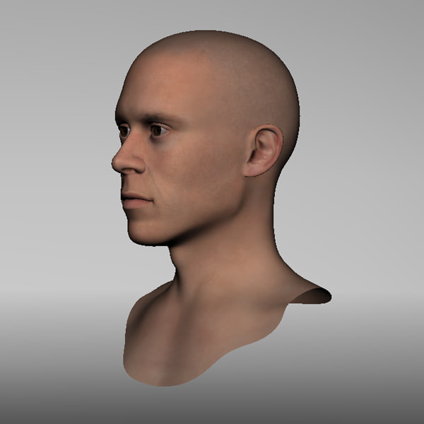 3d realistic human head