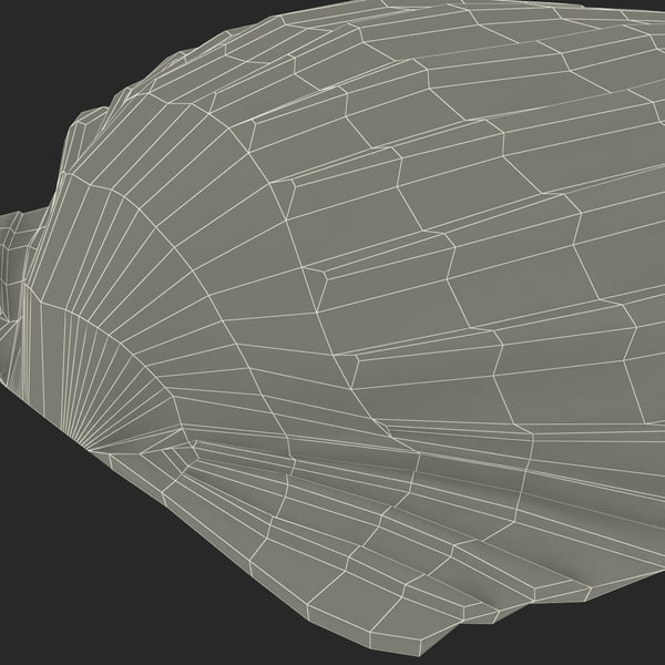 clam seashell 2 3d max