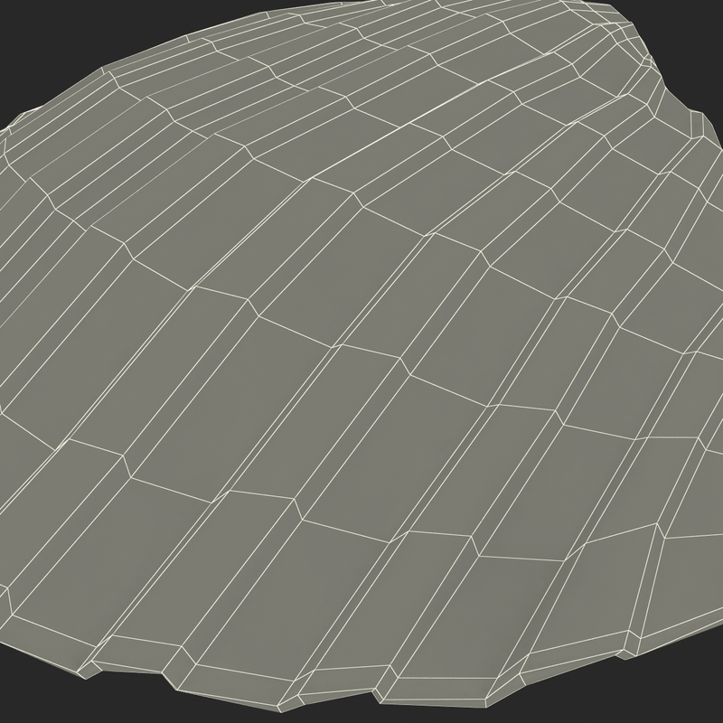 clam seashell 2 3d max