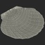 clam seashell 2 3d max