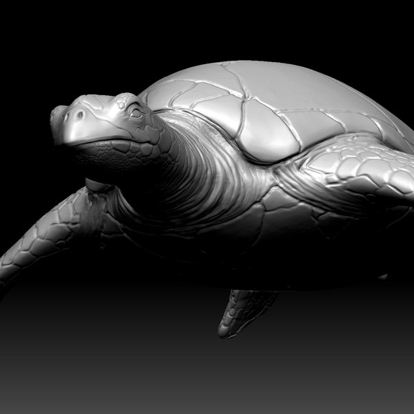 3ds sea turtle zbrush