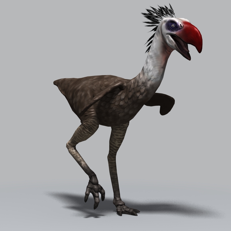 3d model phorusrhacos terror bird