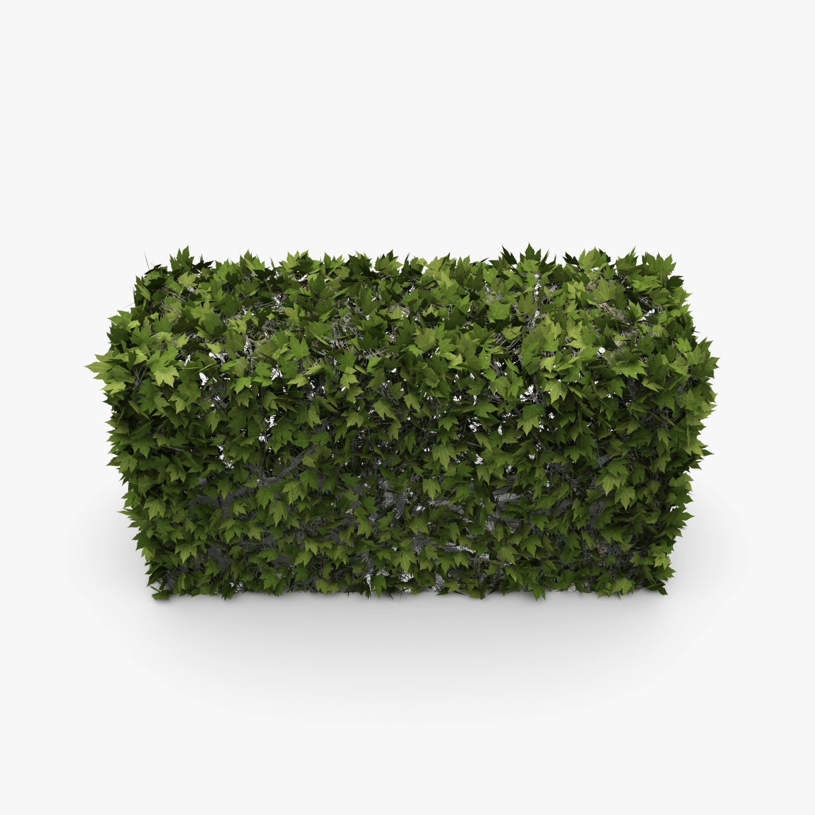 bushes garden 3d model