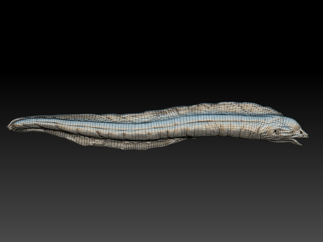 moray eel 3d model