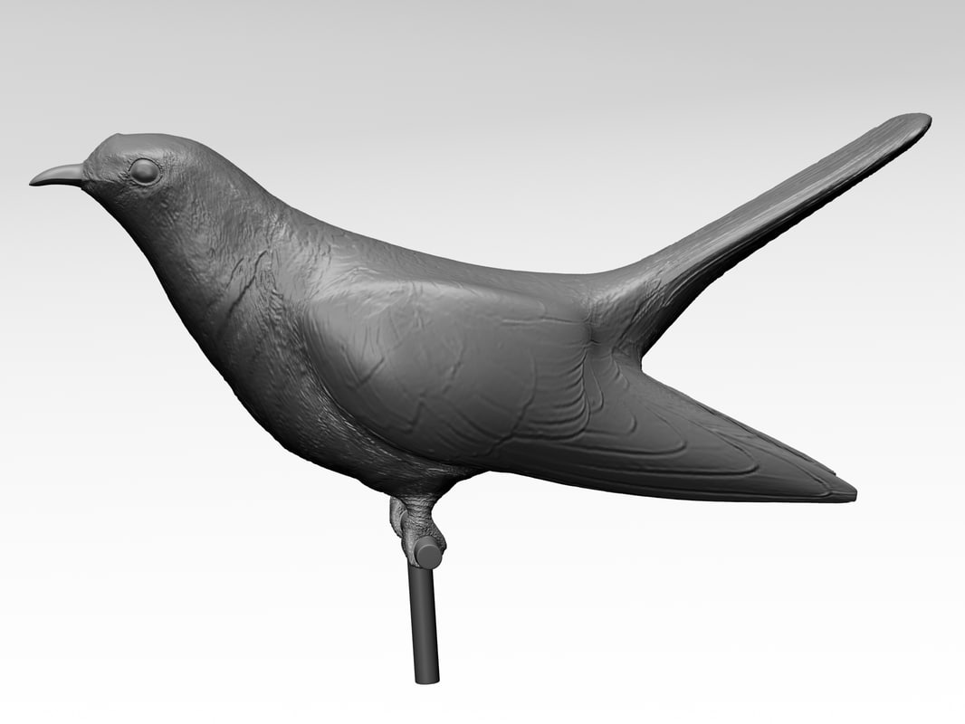 3d max bird printable