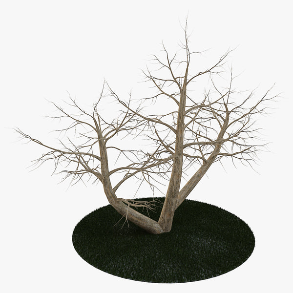 3d tree 4 branches model