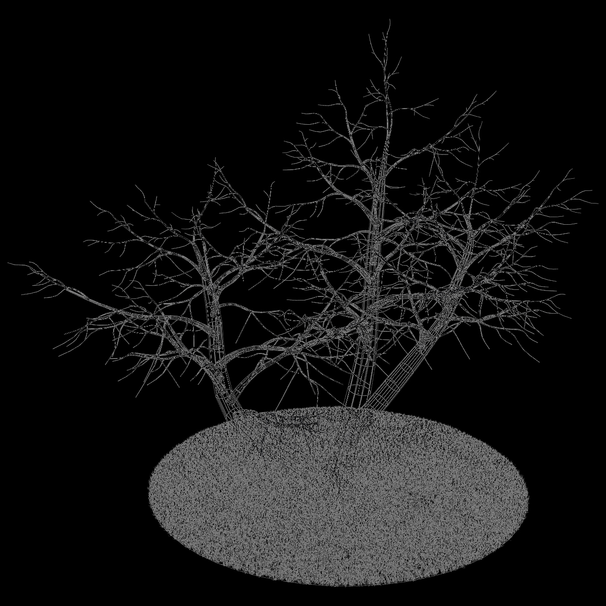 3d tree 4 branches model