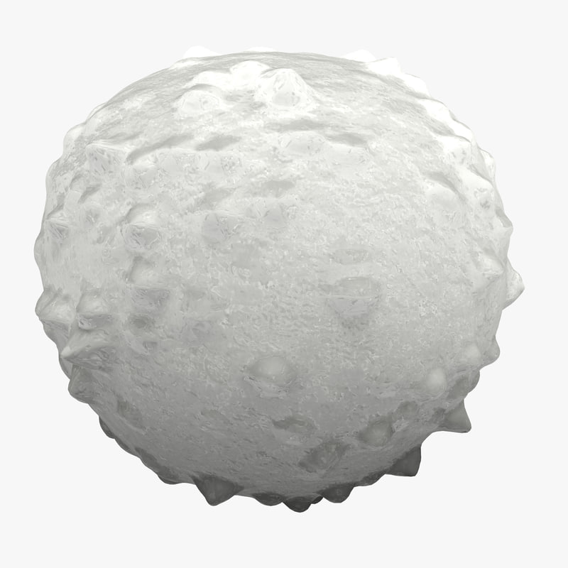white blood cell 3d model