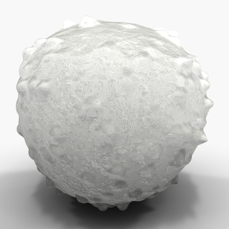 white blood cell 3d model