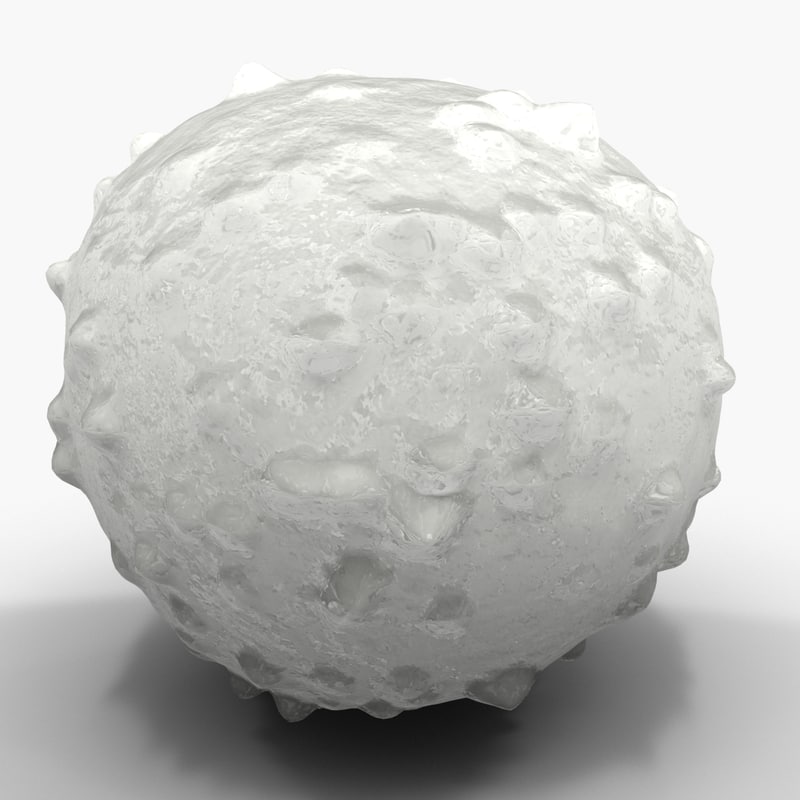 white blood cell 3d model