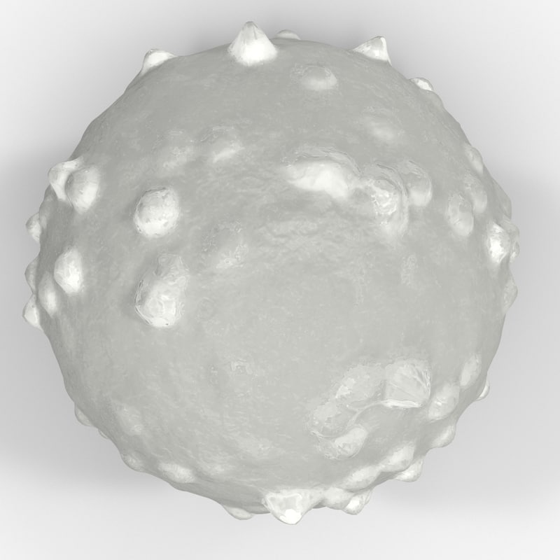 white blood cell 3d model
