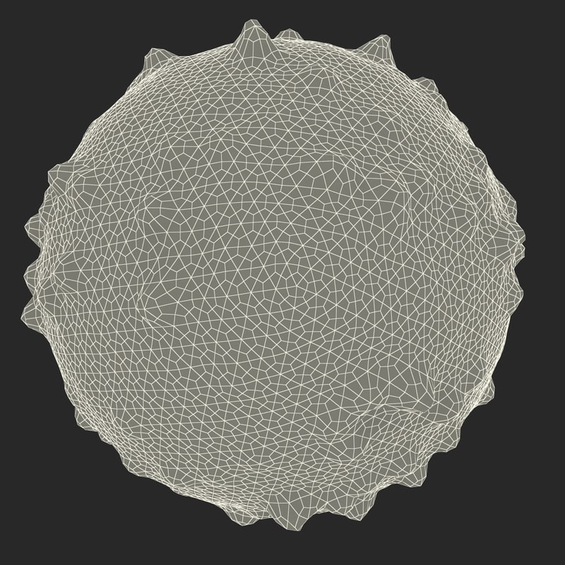 white blood cell 3d model