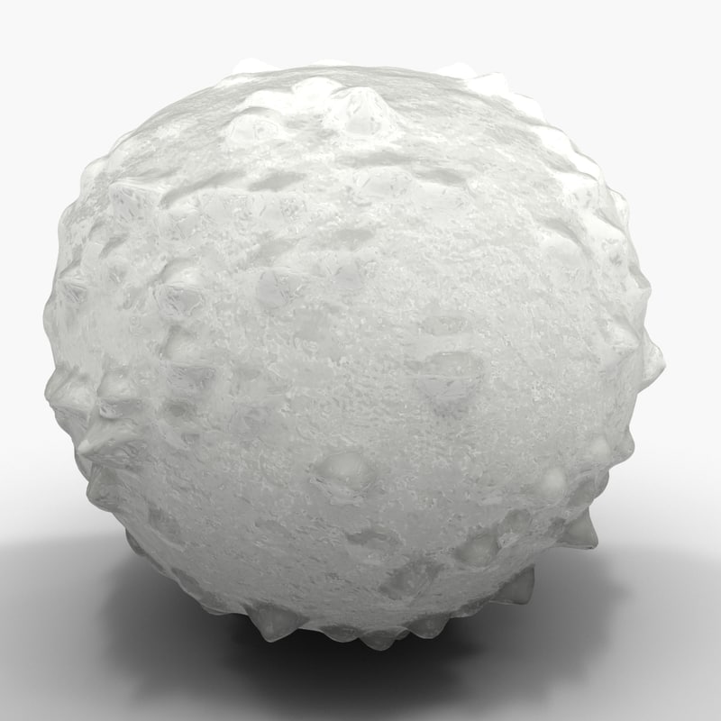 white blood cell 3d model