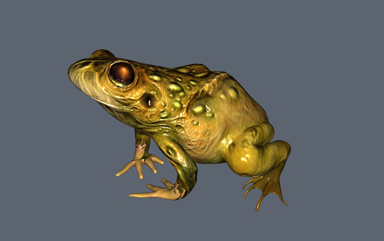 3d frog