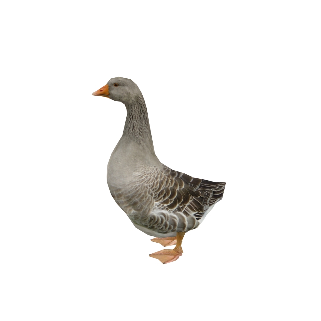 goose 3d model
