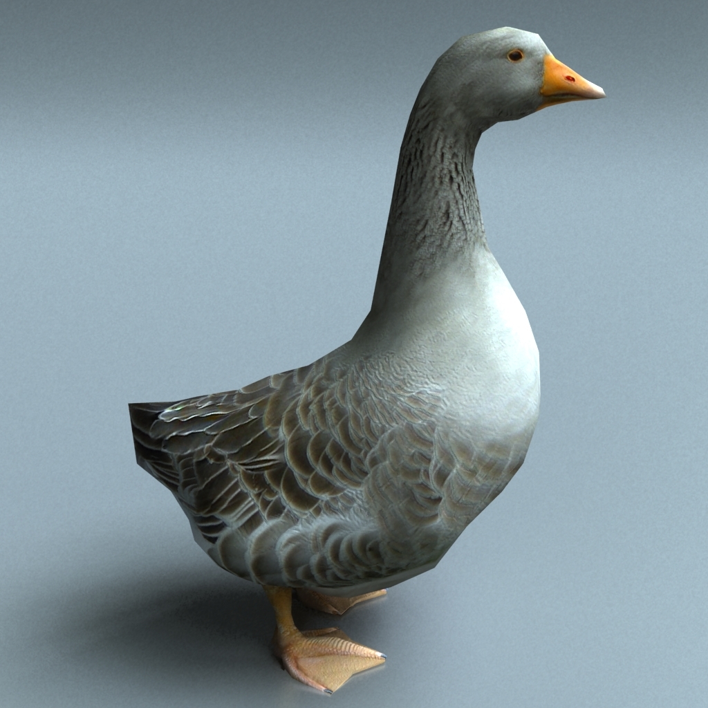 goose 3d model