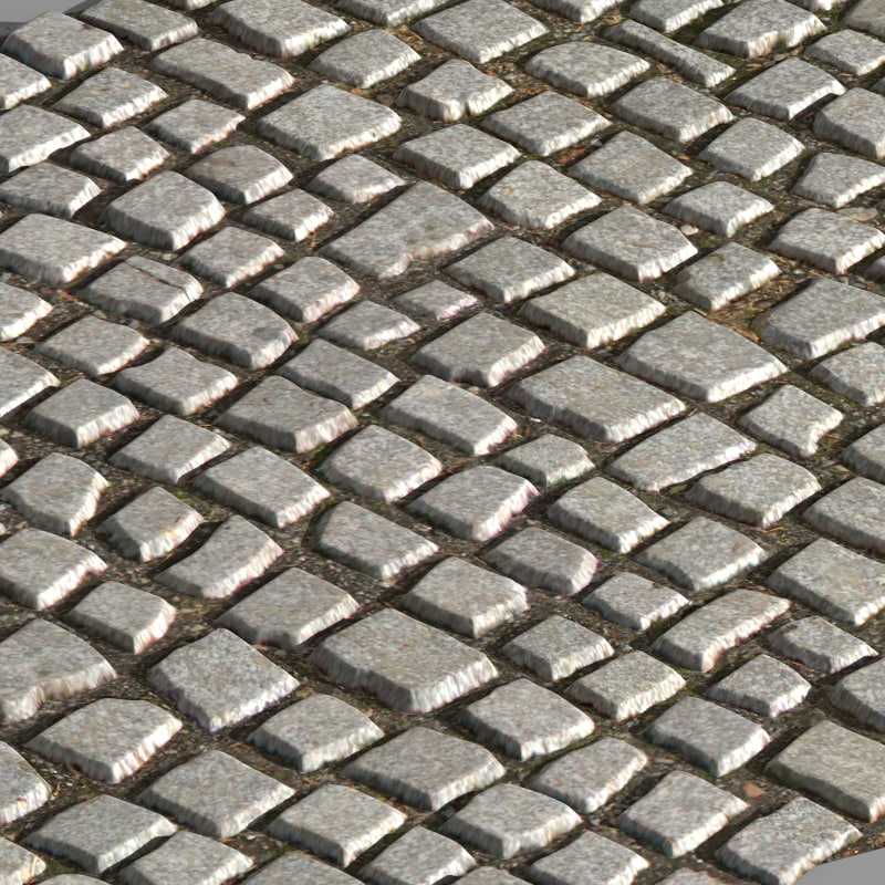 paving stones 05 max