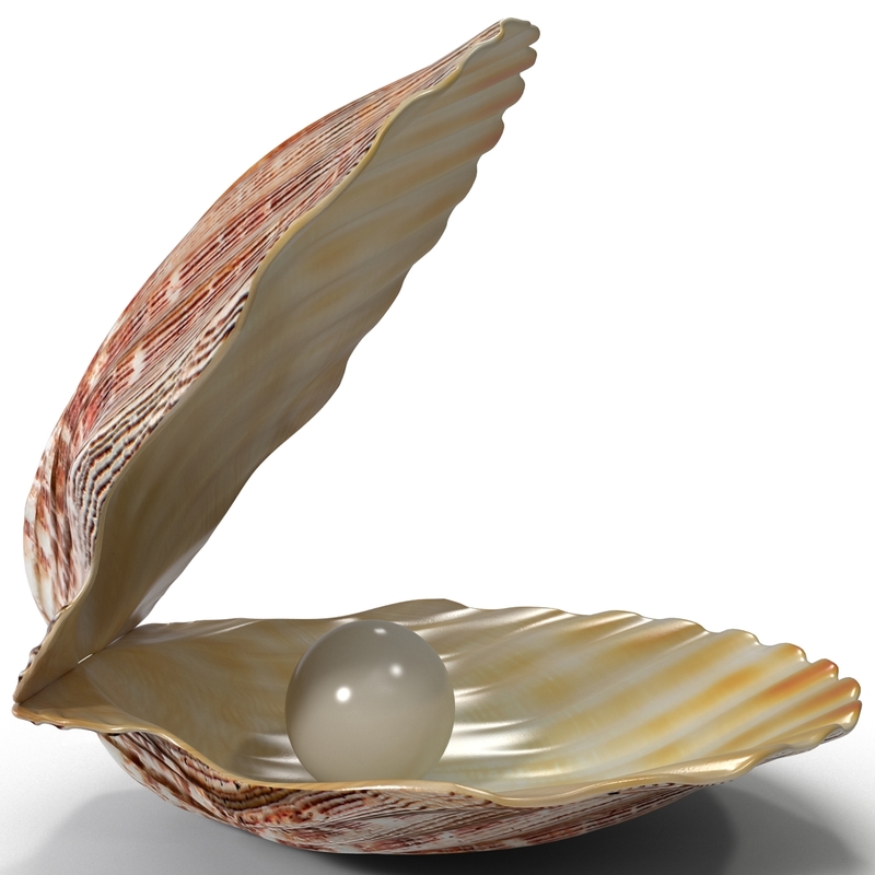 3d 3ds pearl shell