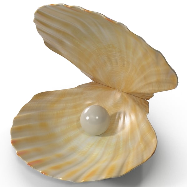 3d 3ds pearl shell