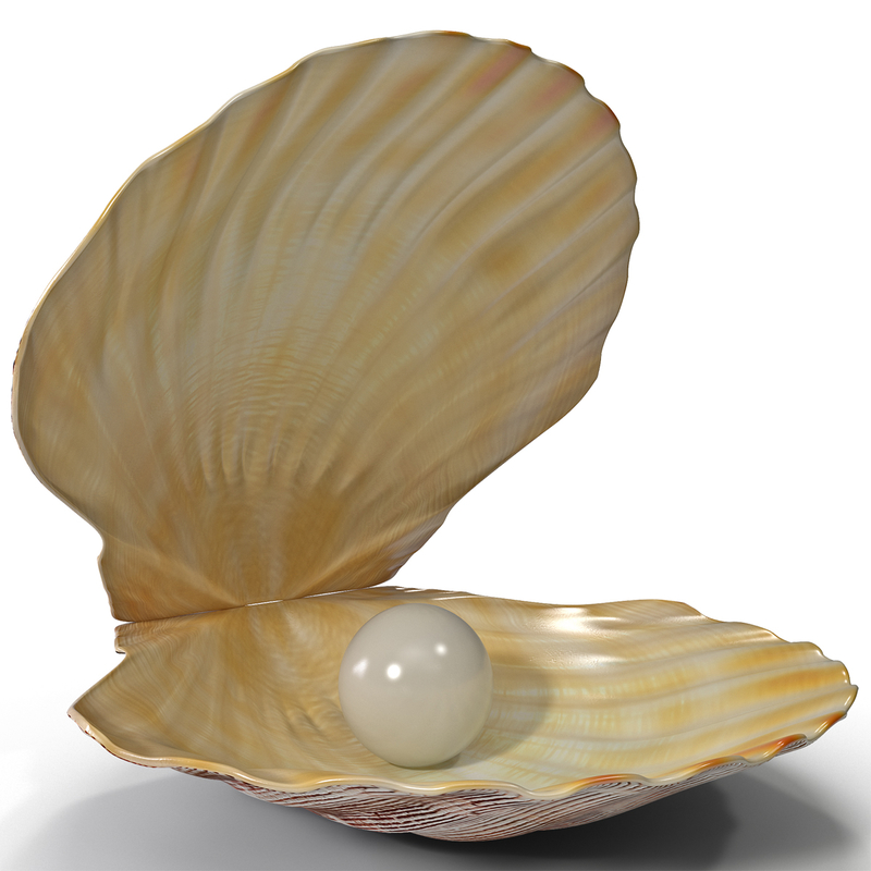 3d 3ds pearl shell