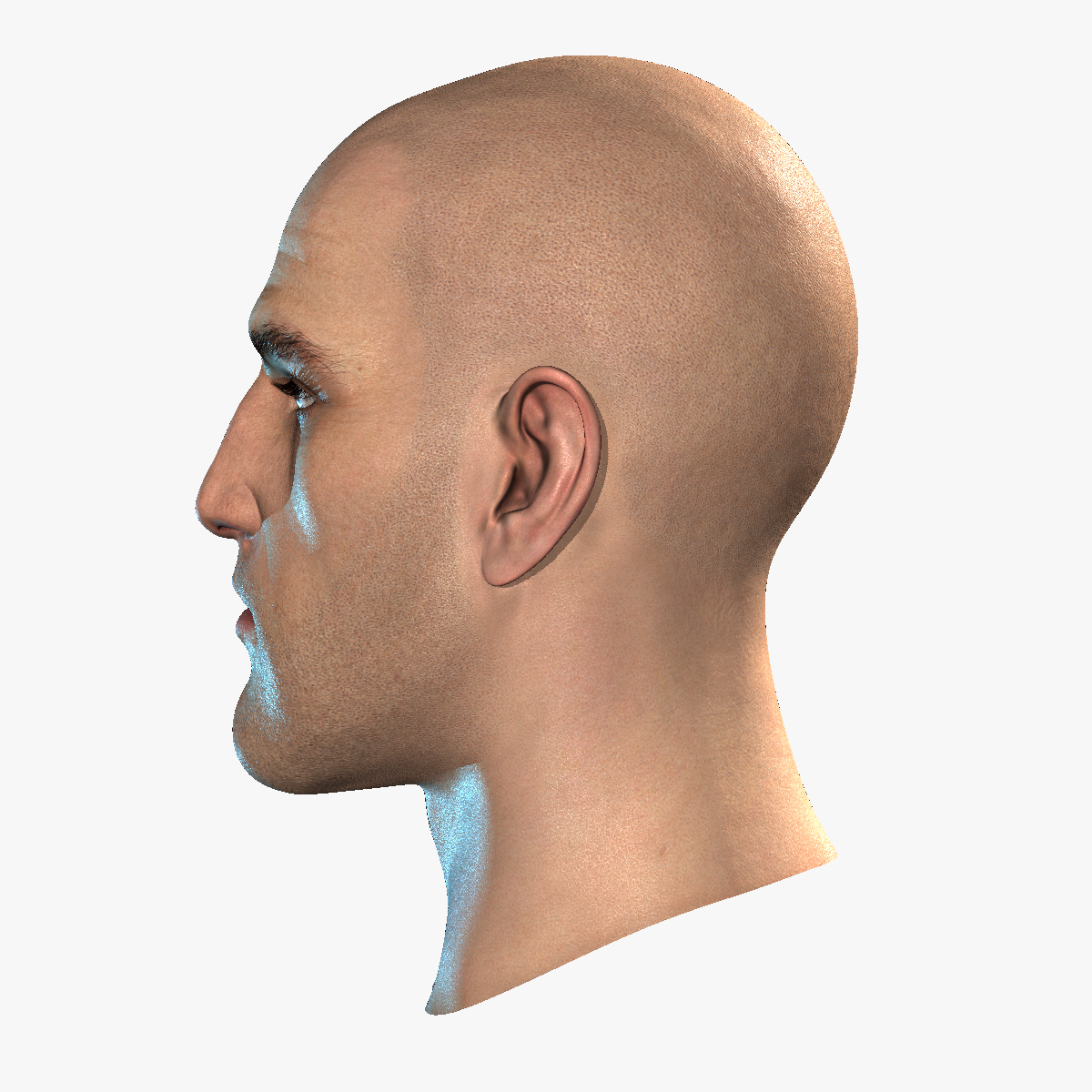 hairless male head realtime 3d model