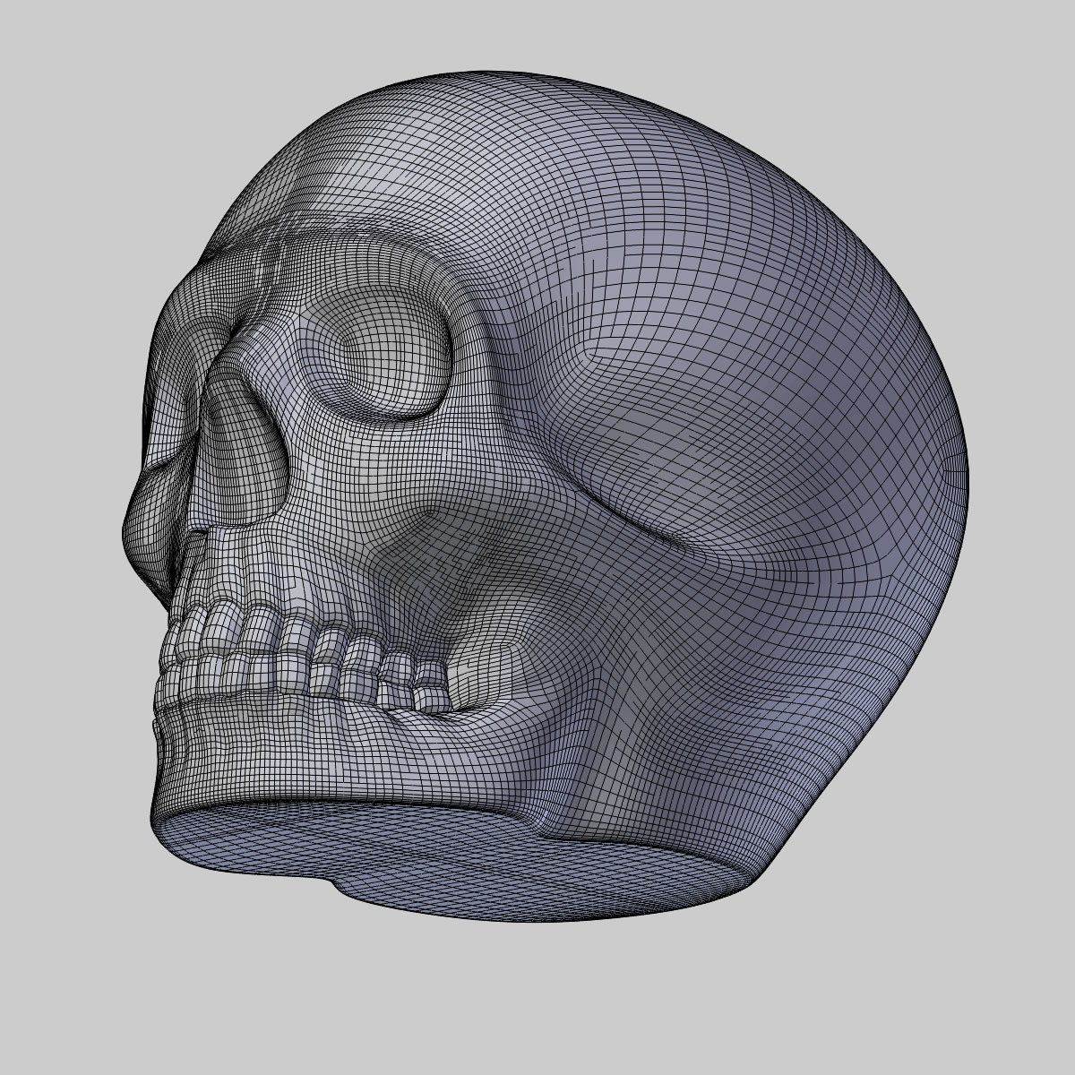 skull printed 3d obj