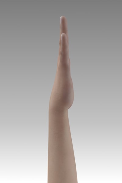 realistic hand 3d obj