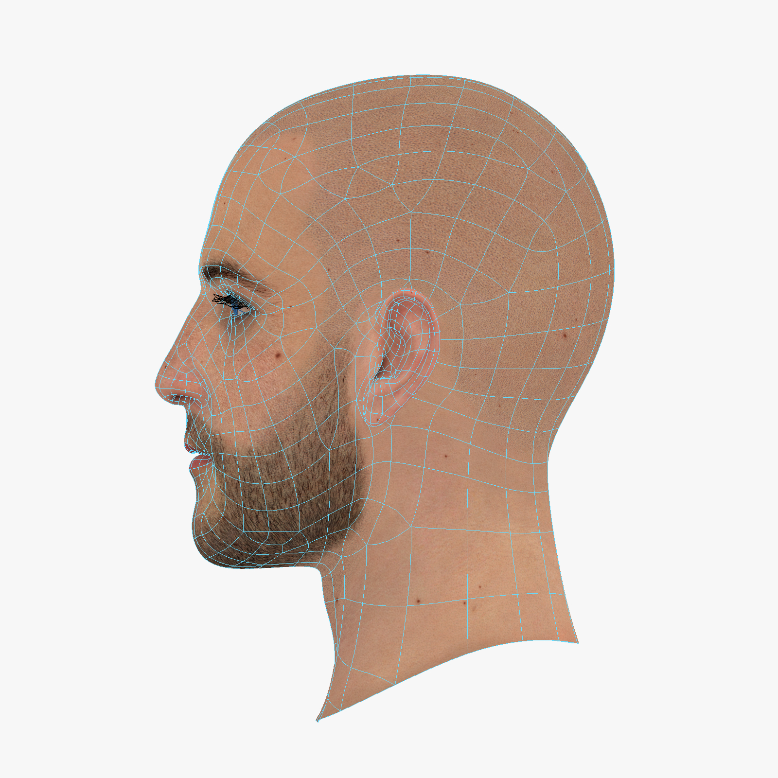obj male head real-time 12