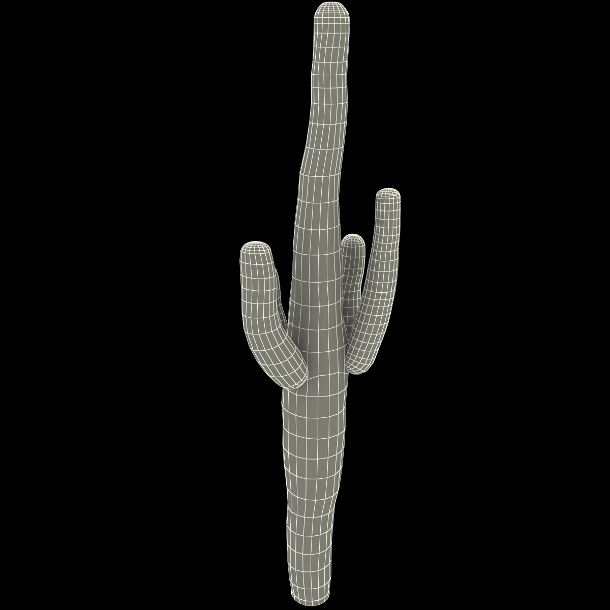 3d mexican cactus model