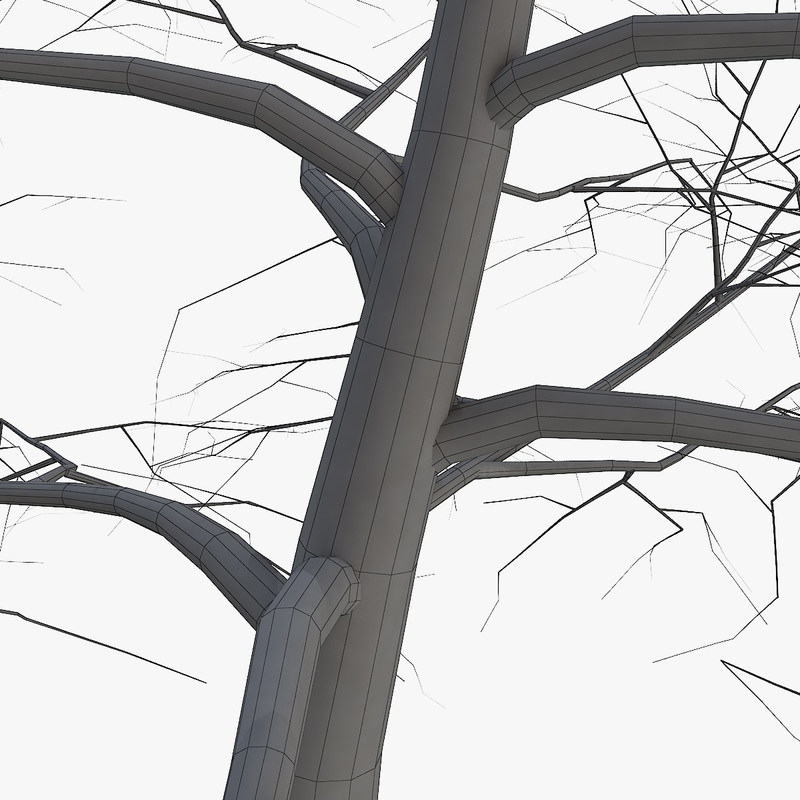 tree 7 branches 3d model