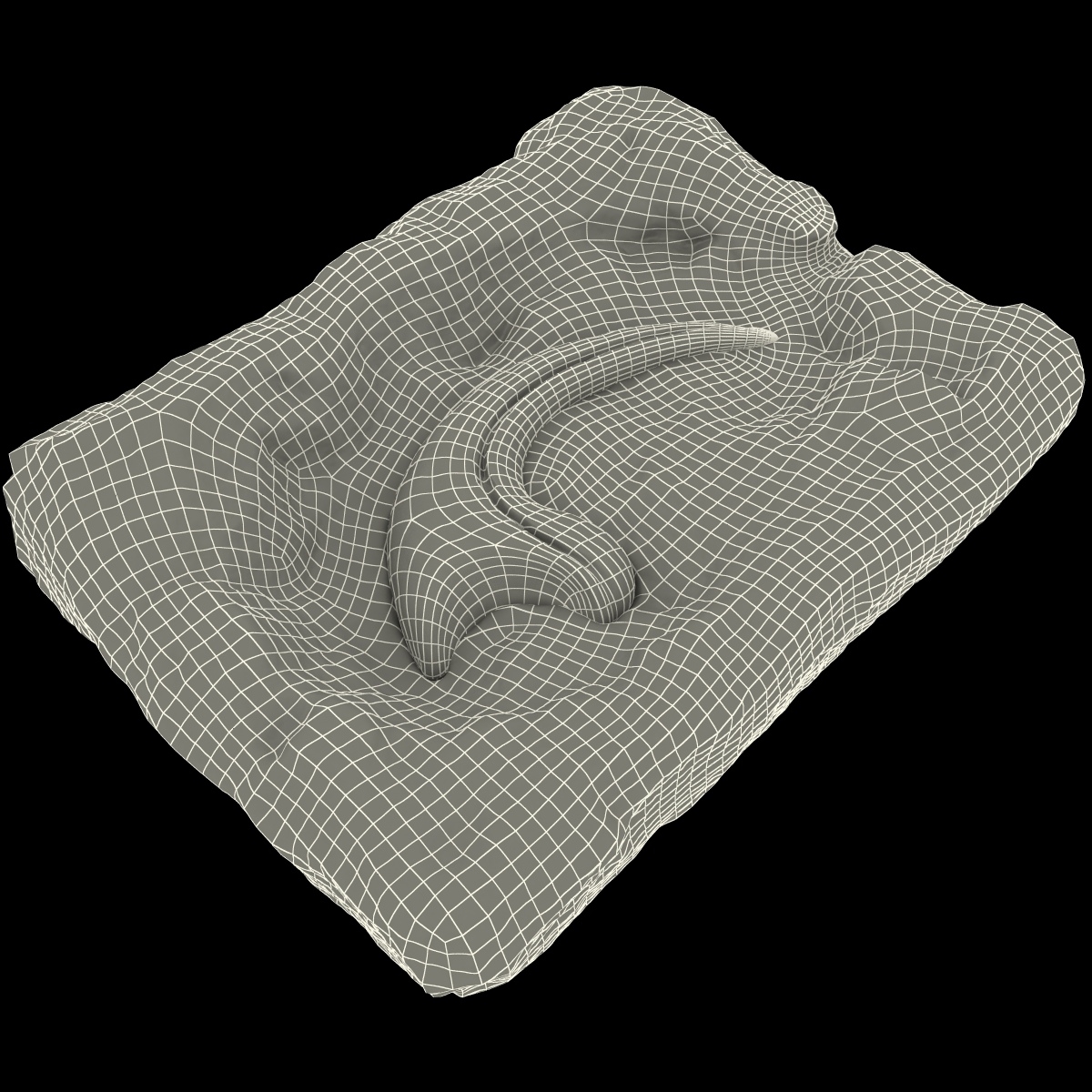 3d model raptor claw fossil