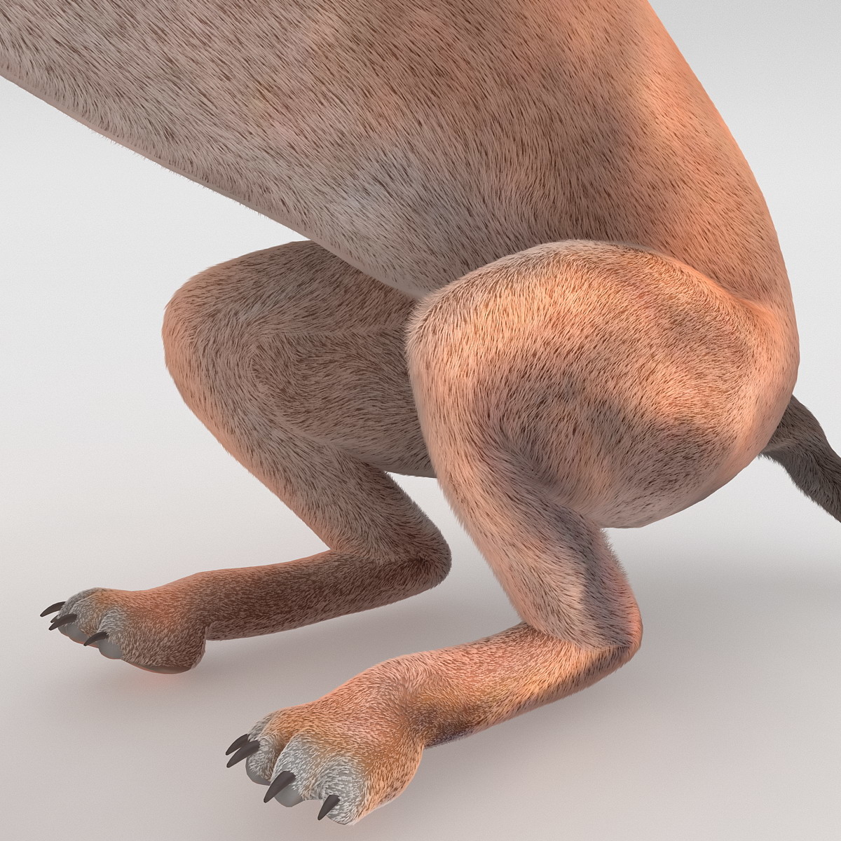 australian greyhound pose 4 3d model