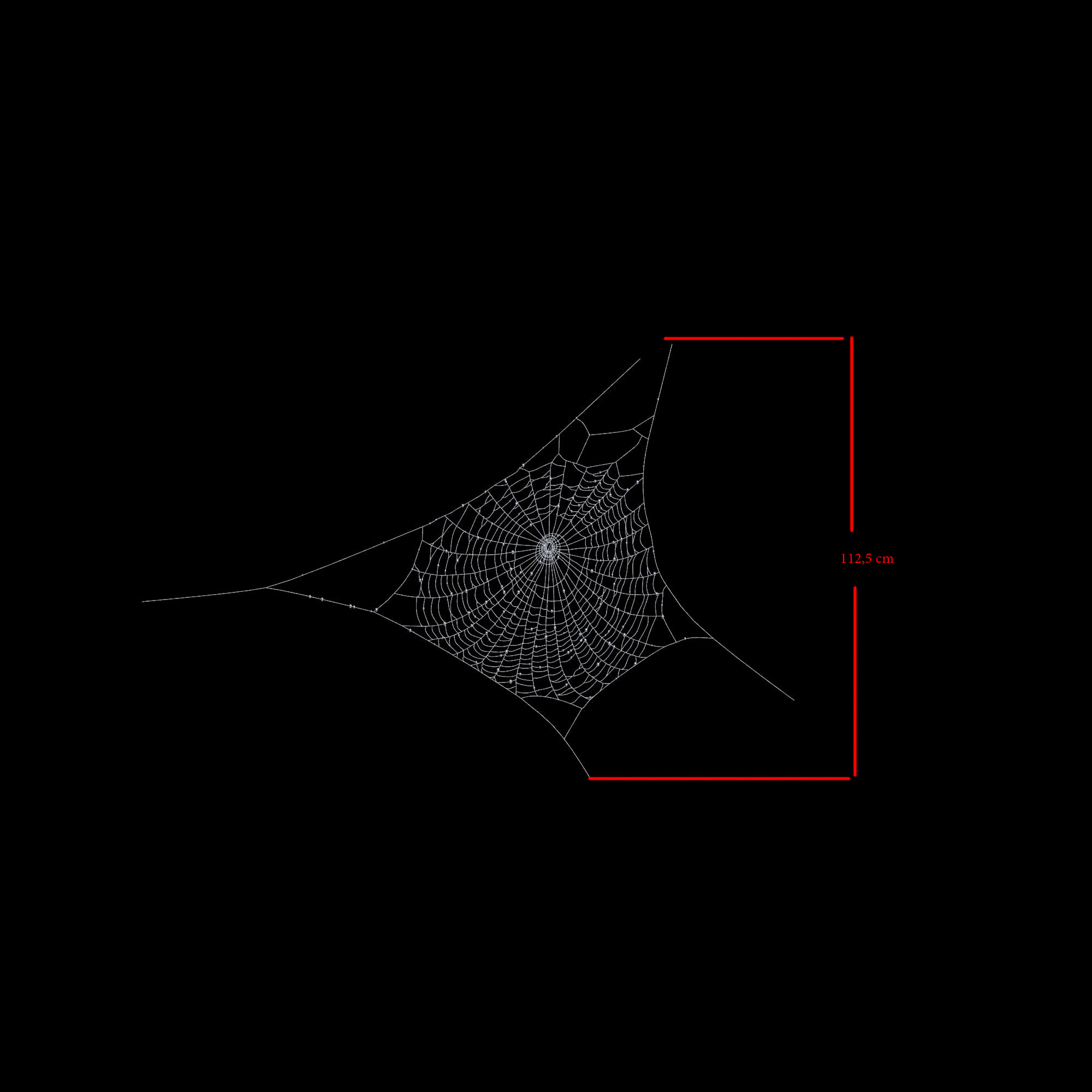 spiderweb 3d model