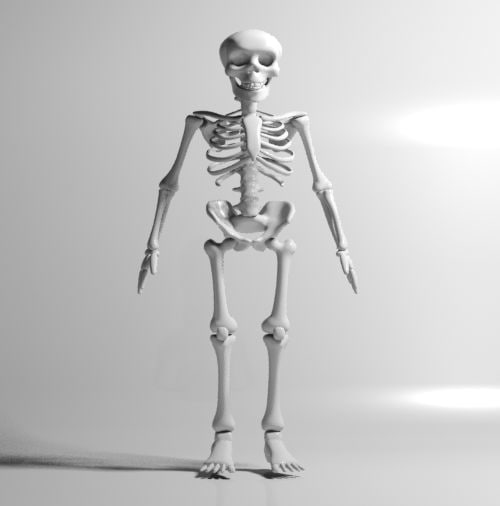 cartoon skeleton 3d model