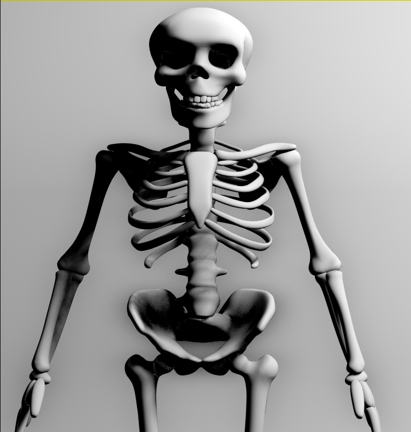 cartoon skeleton 3d model