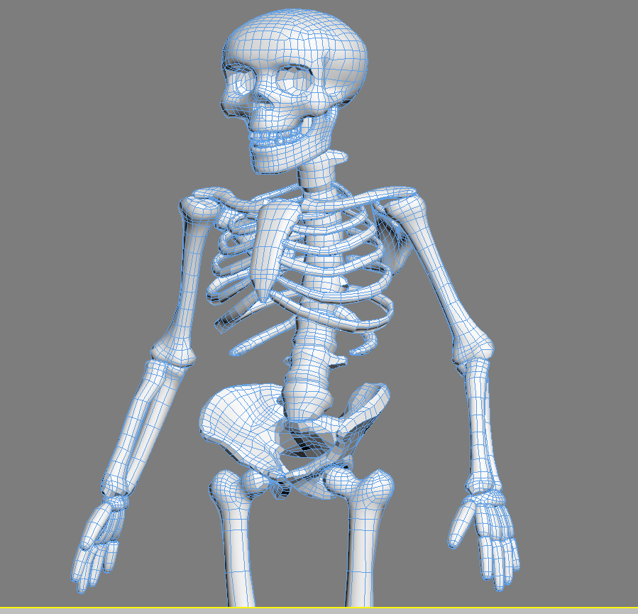 cartoon skeleton 3d model