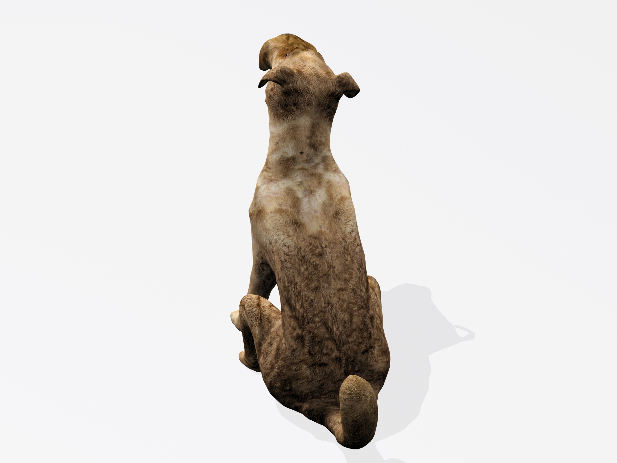 sitting dog 3d model