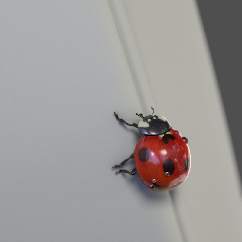 3d animation ladybug v-ray fur model