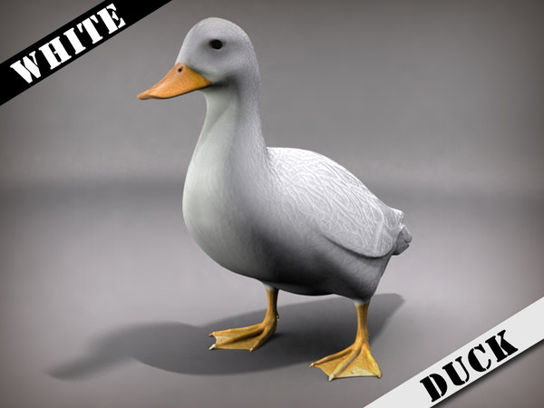3d model duck