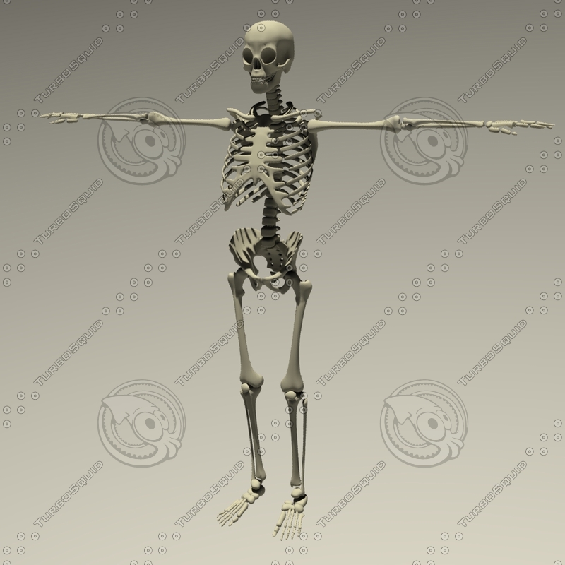 walking skeleton animations fbx