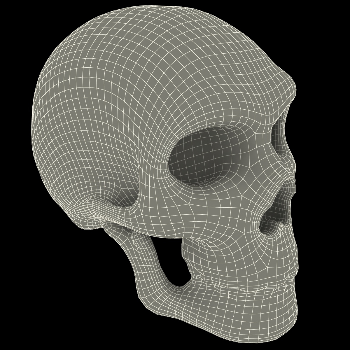 human skull 2 3d c4d