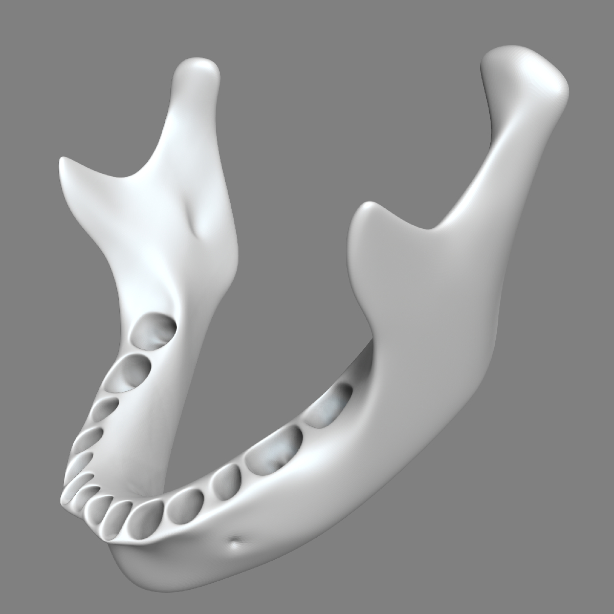 3d mandible model