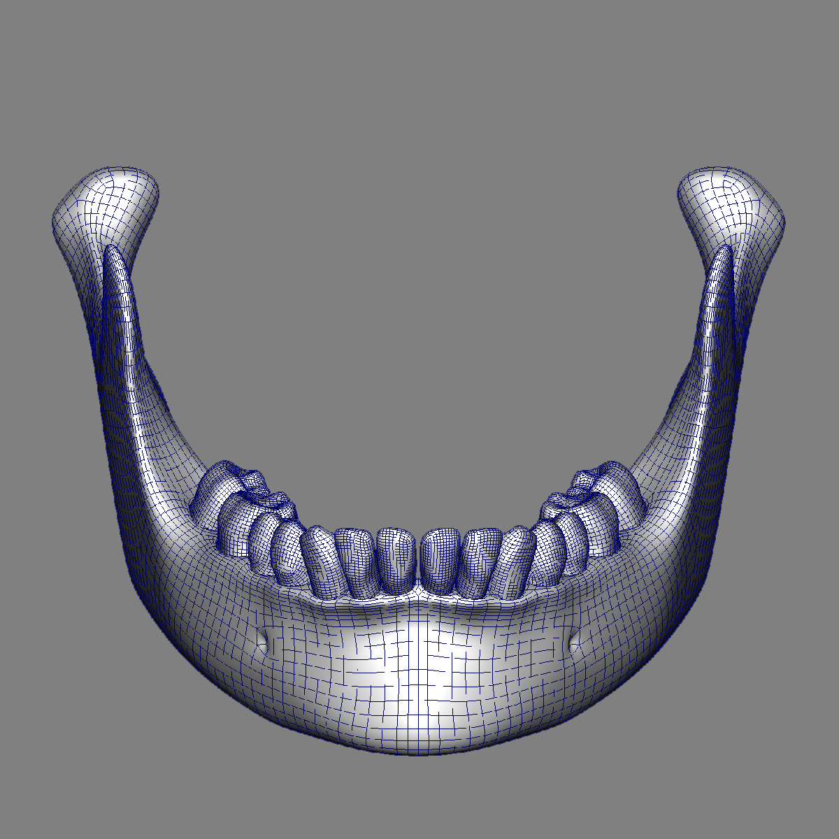 3d mandible model