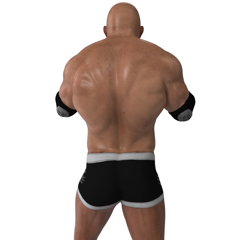 wrestler pose 1 3d model