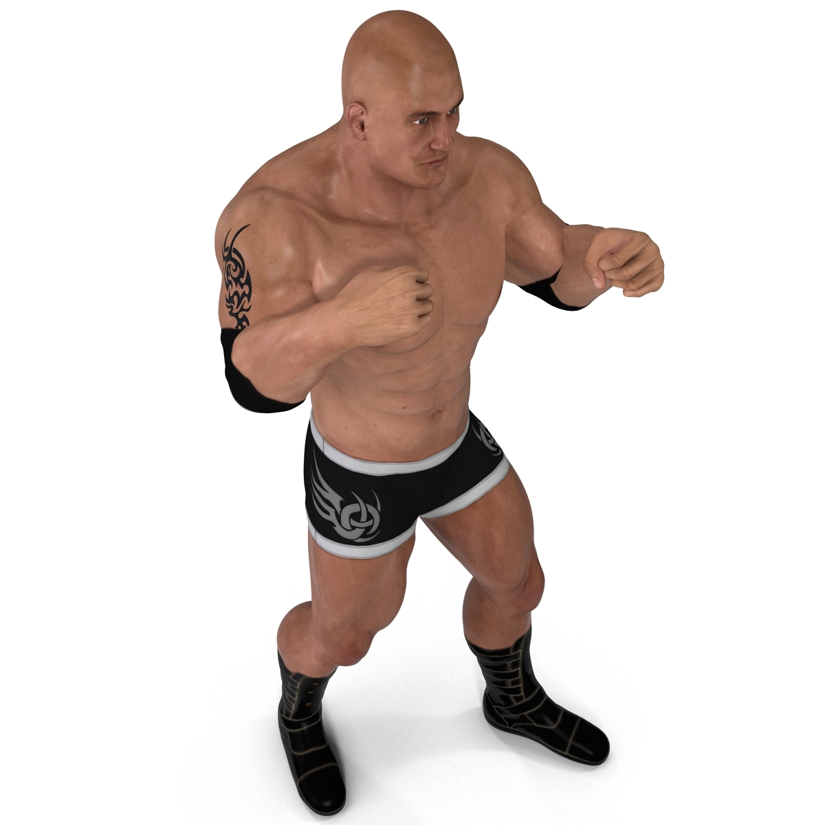 wrestler pose 1 3d model