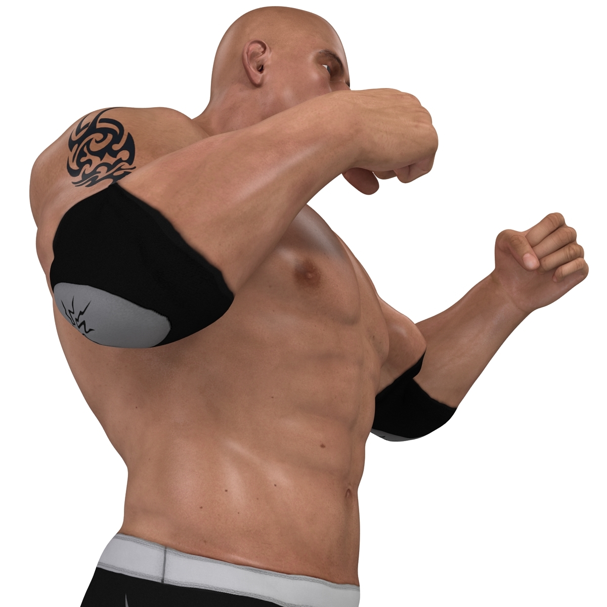 wrestler pose 1 3d model