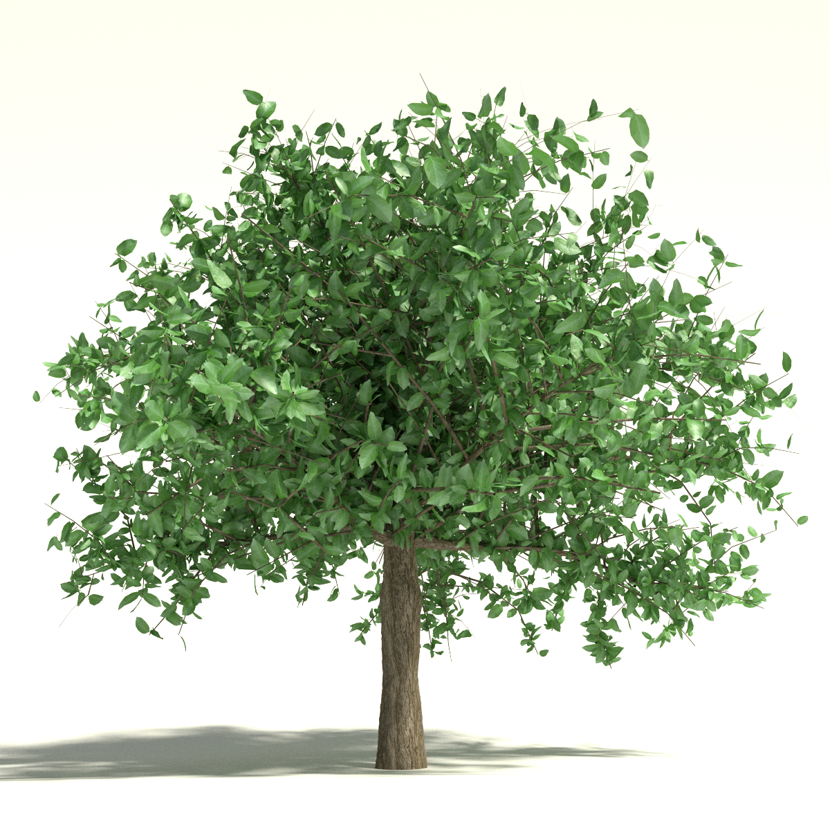 3d tree model